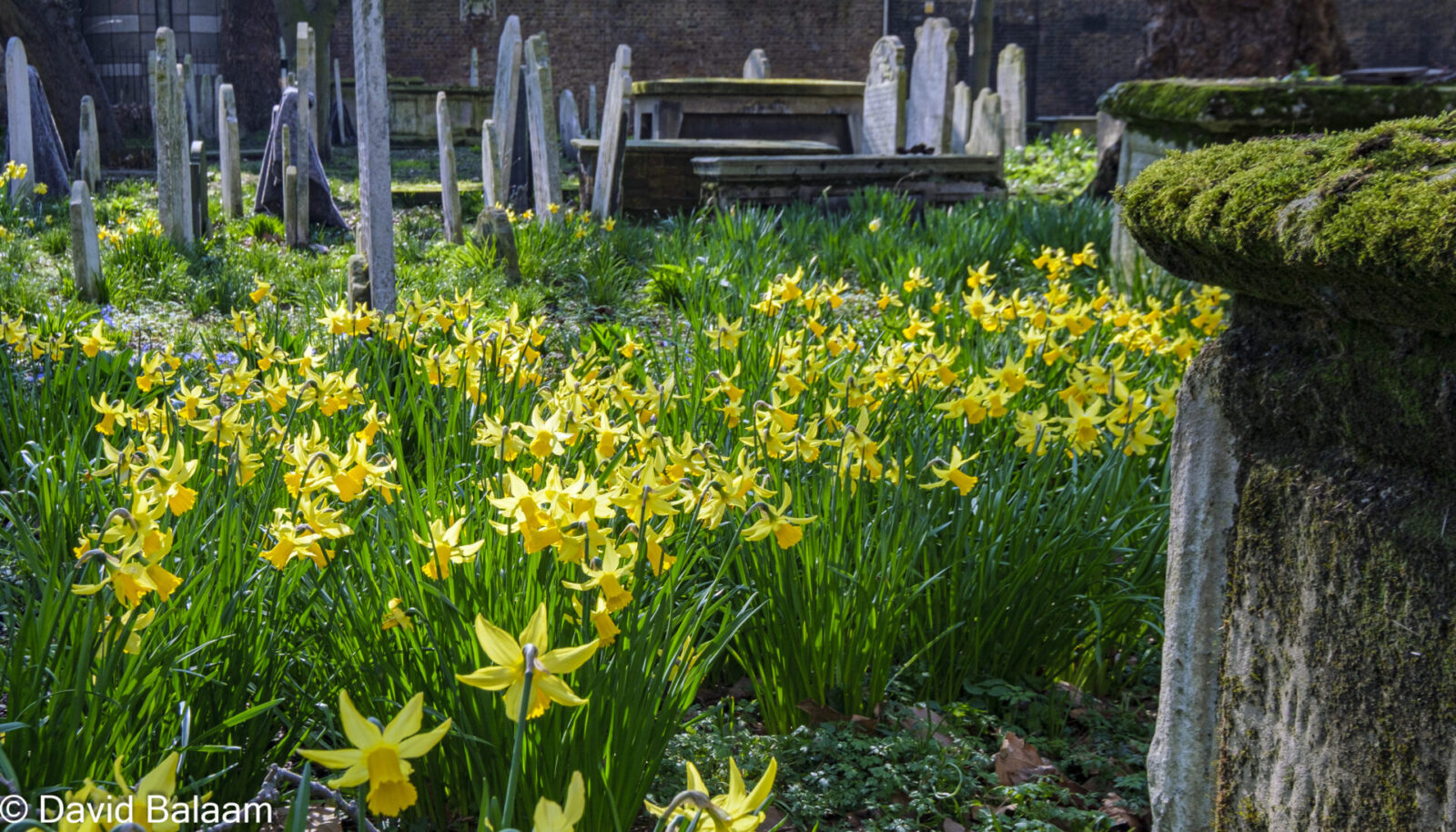 Bunhill Burial Ground and John Wesley's Chapel - Leatherhead and District